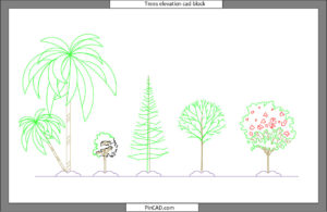 Trees Elevation CAD Block – Free Download! - PinCad