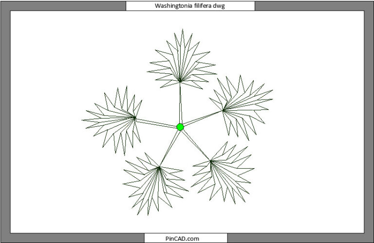 Washingtonia Filifera DWG | Free Palm Tree CAD Block